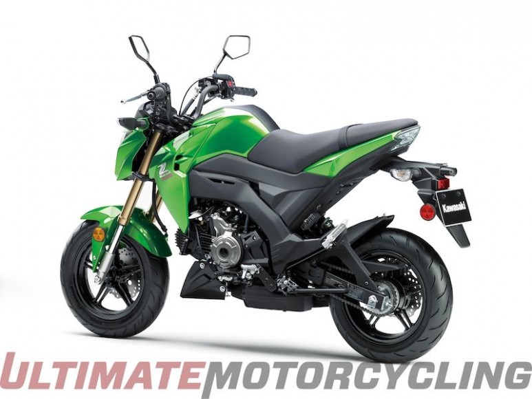 Kawasaki Z125 Pro Unveiled | Smallest of the Z Family