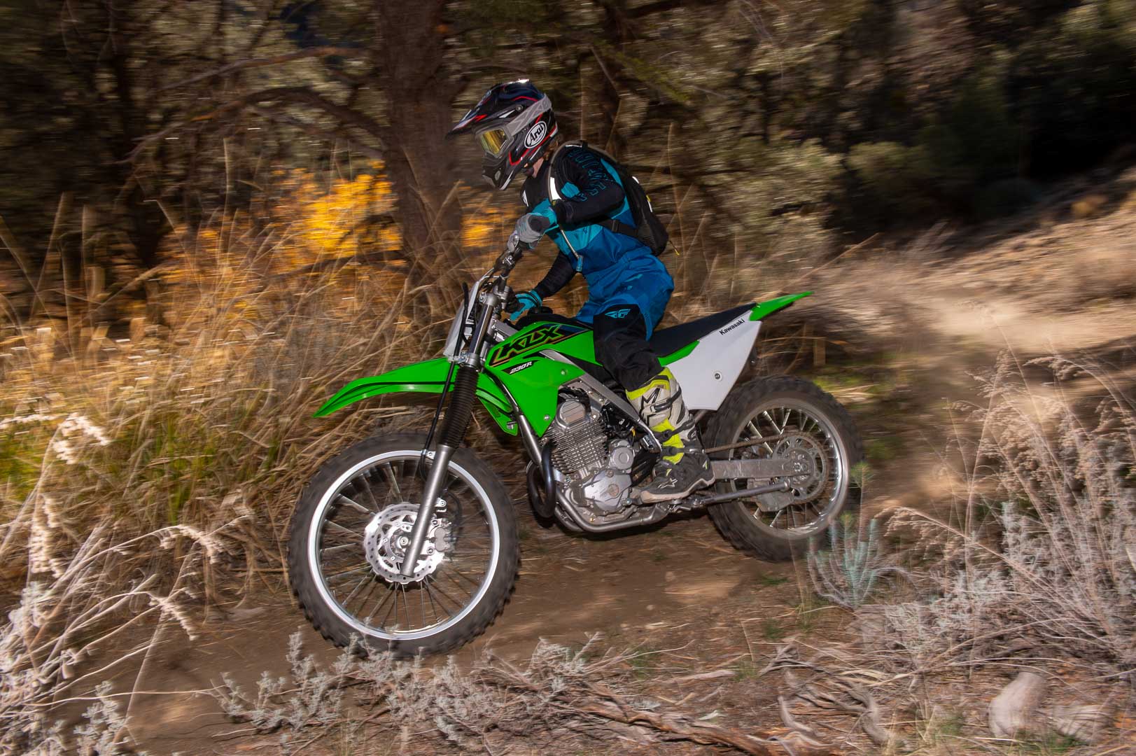 2021 Kawasaki KLX230R vs. KLX230R S Comparison: Trail Bike Battle