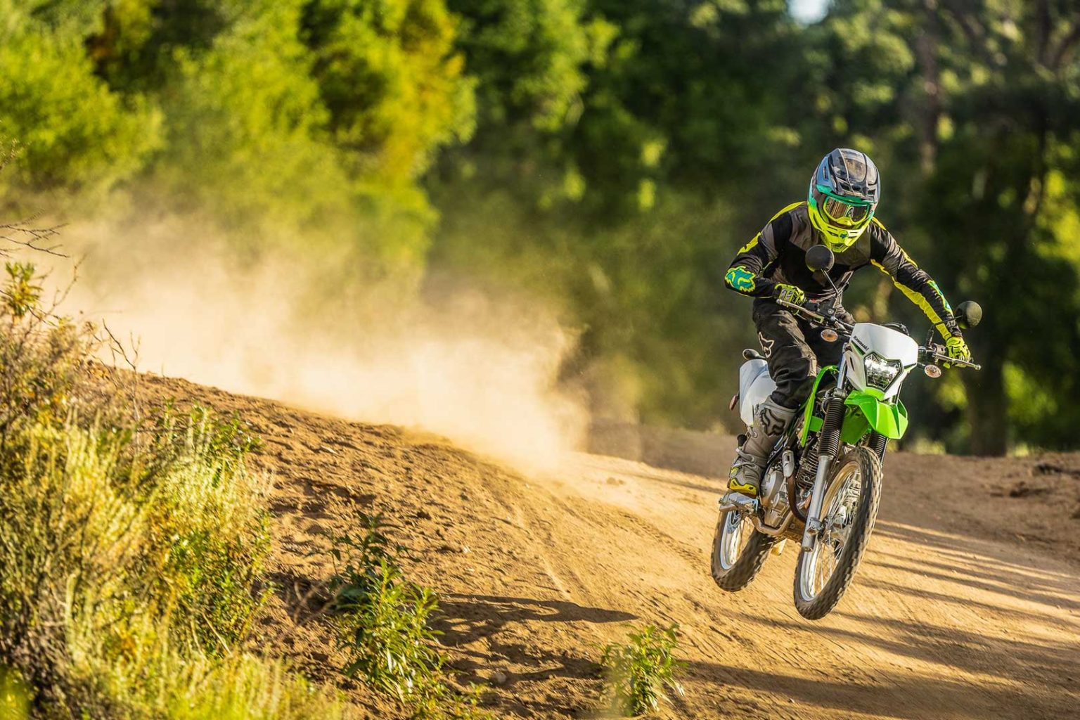 2023 Kawasaki KLX230 Dual-Sport Lineup First Look [7 Fast Facts]